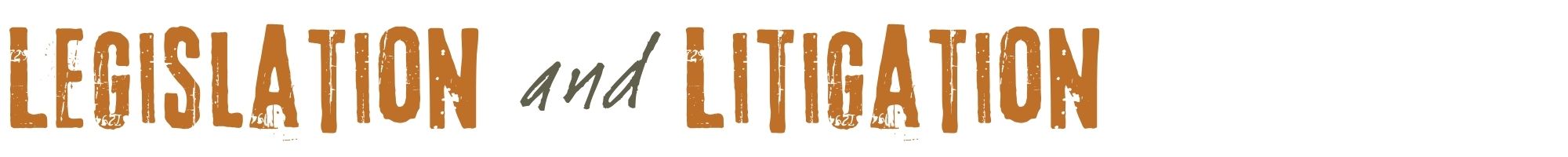 About Us « World Without Genocide - Making It Our Legacy